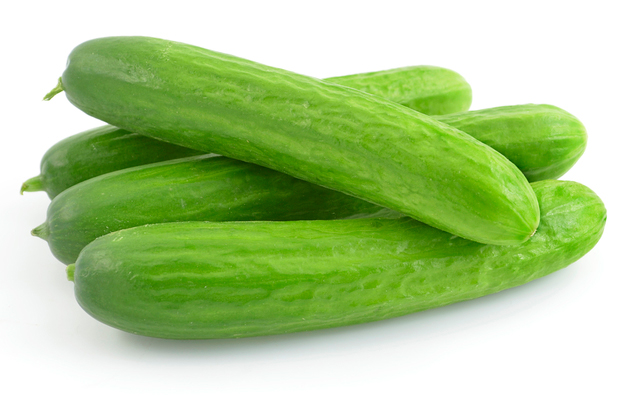 Mini Cucumbers - Case (12 x 1lb Packages) (jit) – Pantree